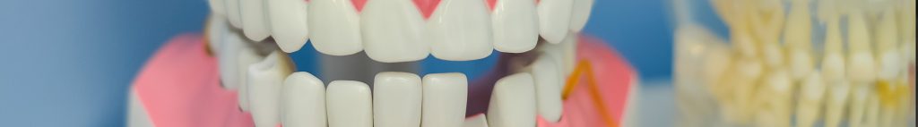 Peterborough Public Health