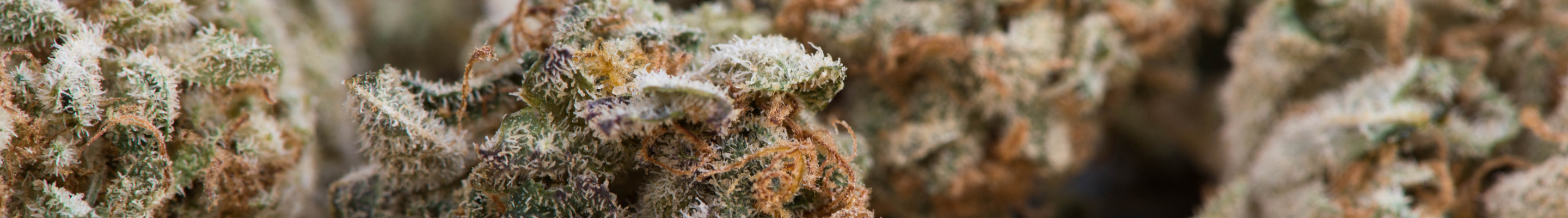 Peterborough Public Health