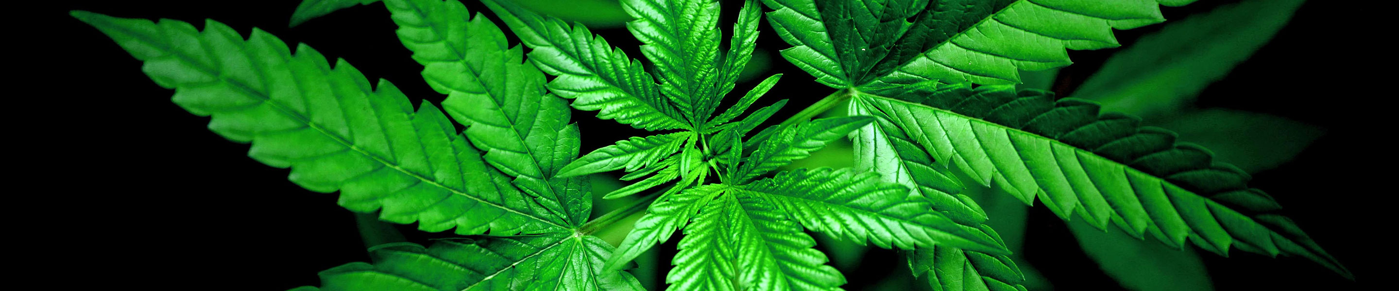 Peterborough Public Health